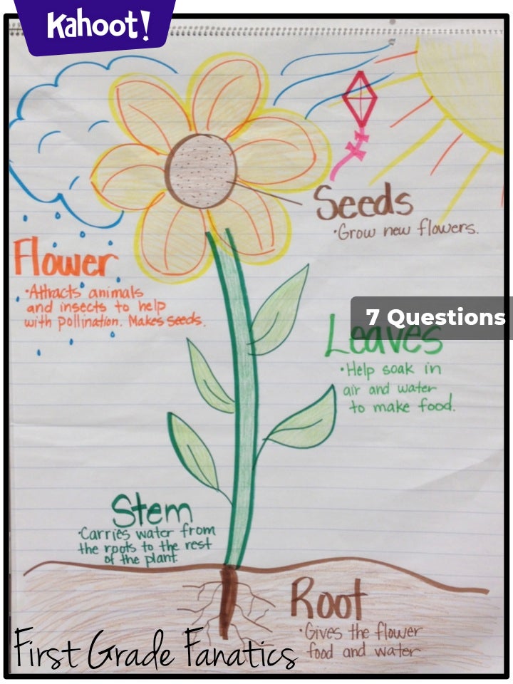 Parts of a Plant - Kahoot! Quiz