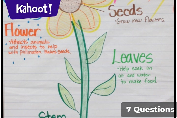 Parts of a Plant - Kahoot! Quiz