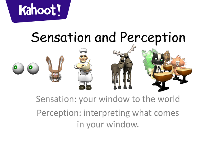 AP Psychology - Unit 4 Sensation and Perception - Kahoot! Quiz