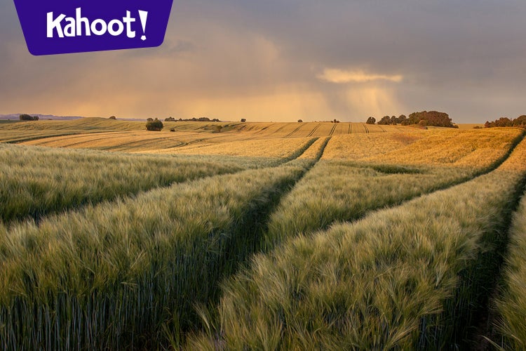 Plant Uses in Agriculture - Kahoot! Quiz