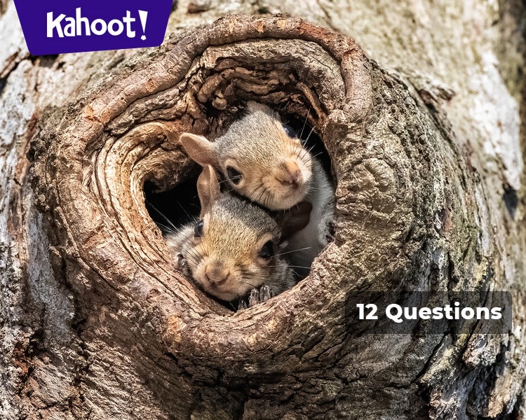 Animals and Nature - Kahoot! Quiz