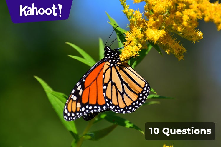 Conservation of Plants and Animals I Class 8 I 23-07-22 - Kahoot! Quiz