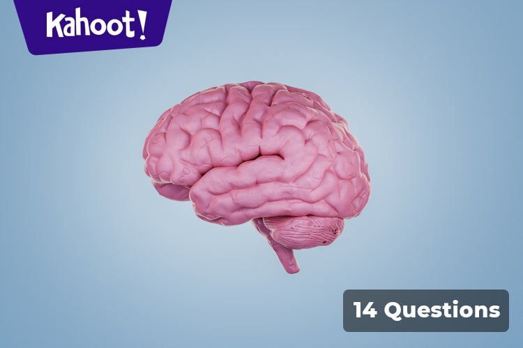 Brain Function Quiz - Kahoot! Quiz