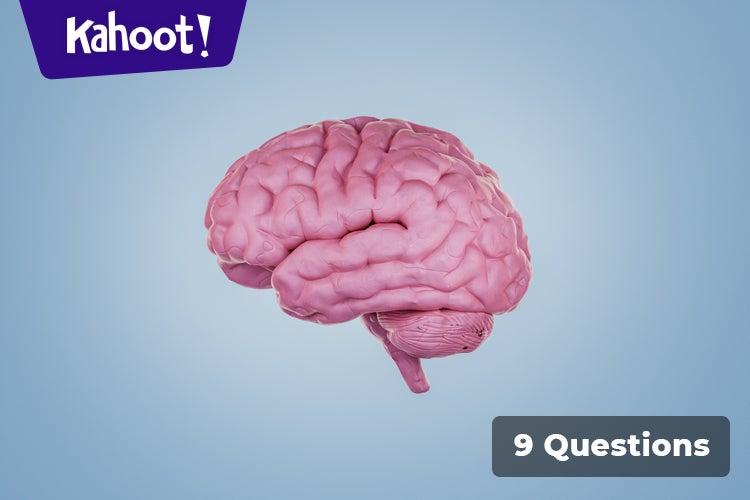 Vocabulary (Body and Health) - Kahoot! Quiz