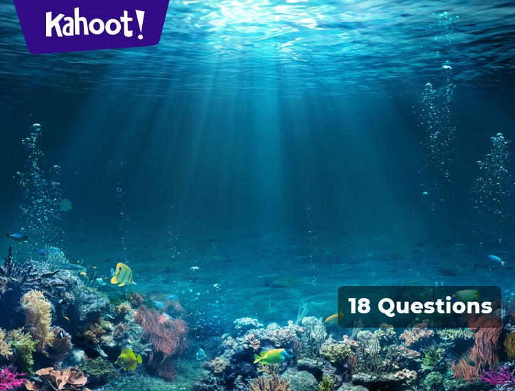 Animals living in the ocean - Kahoot! Quiz