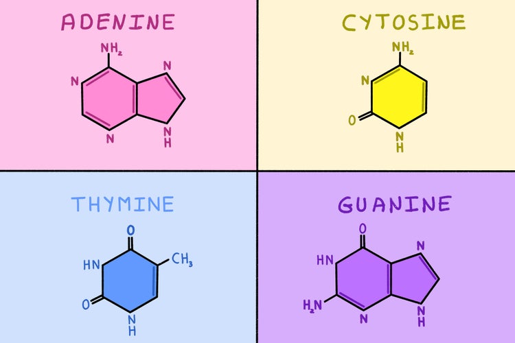 Naming organic compounds IGCSE chemistry Syllabus 11.2 - Kahoot! Course
