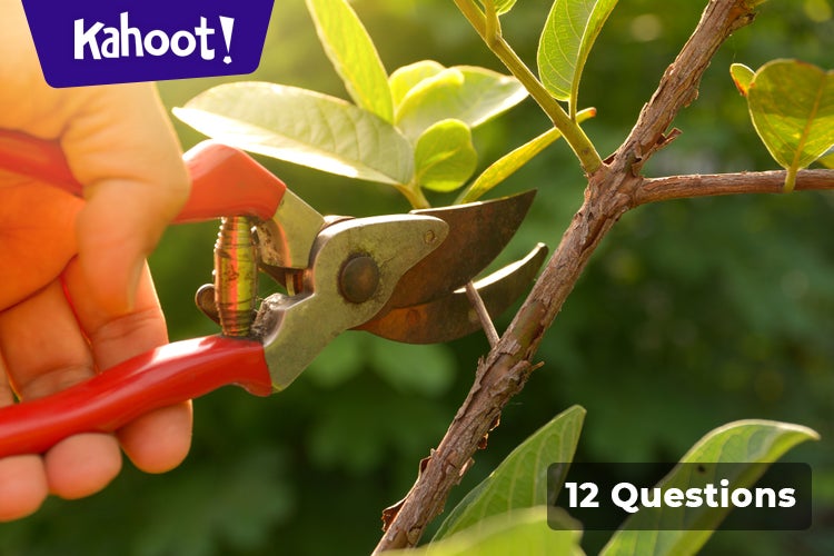 Asexual Reproduction Re1 Kahoot Quiz