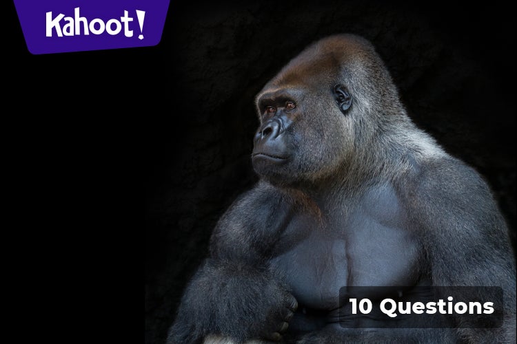 Unit 5 Review Spring 2021 - Kahoot! Quiz