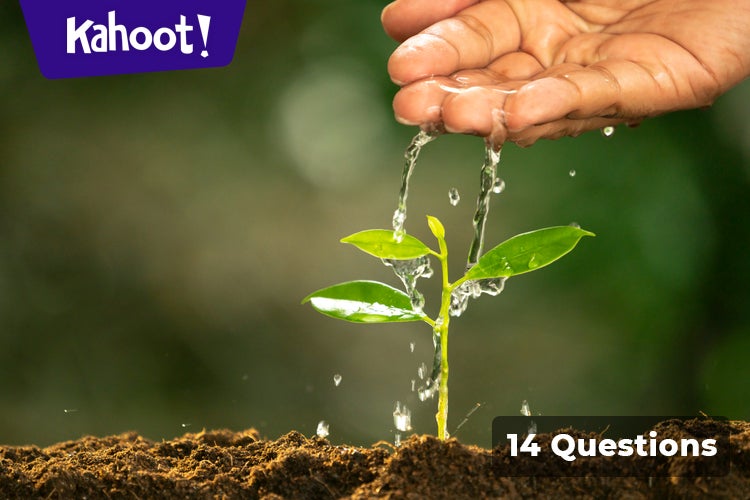 Competition in plants - Kahoot! Quiz