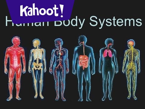 Body Systems and Homeostasis - Kahoot! Quiz