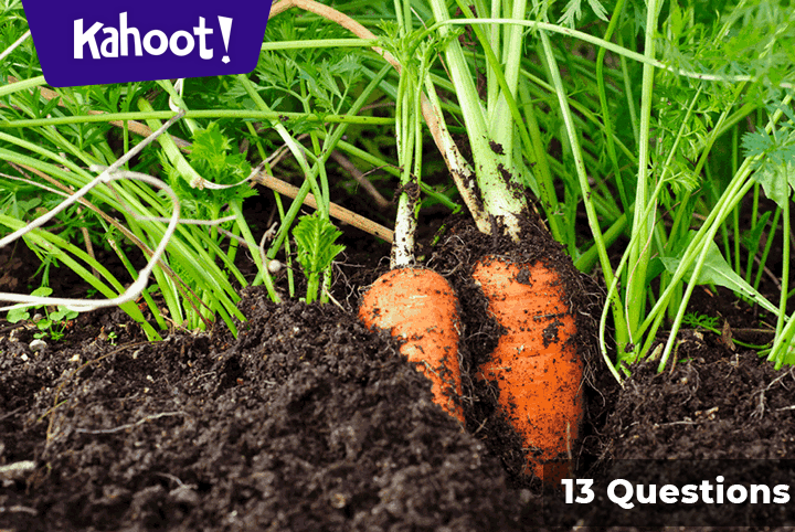 Biomes - Chapter 1 quiz - Kahoot! Quiz