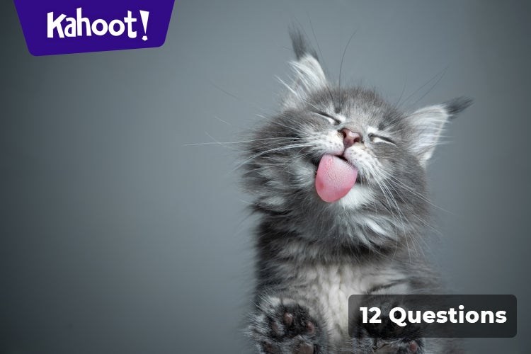 Lesson 6(part 2) - Kahoot! Quiz