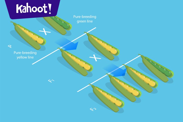 Review Game: Mendelian Genetics - Kahoot! Quiz