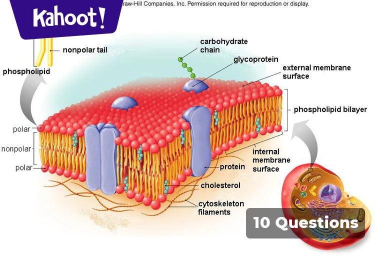 BIO 305 - Cell Membranes & Transport - Kahoot! Quiz