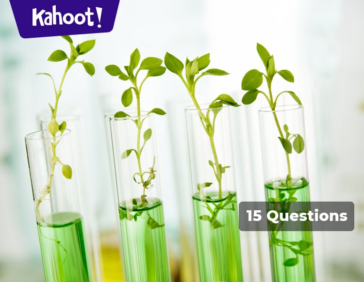 Plant Transport System - Kahoot! Quiz