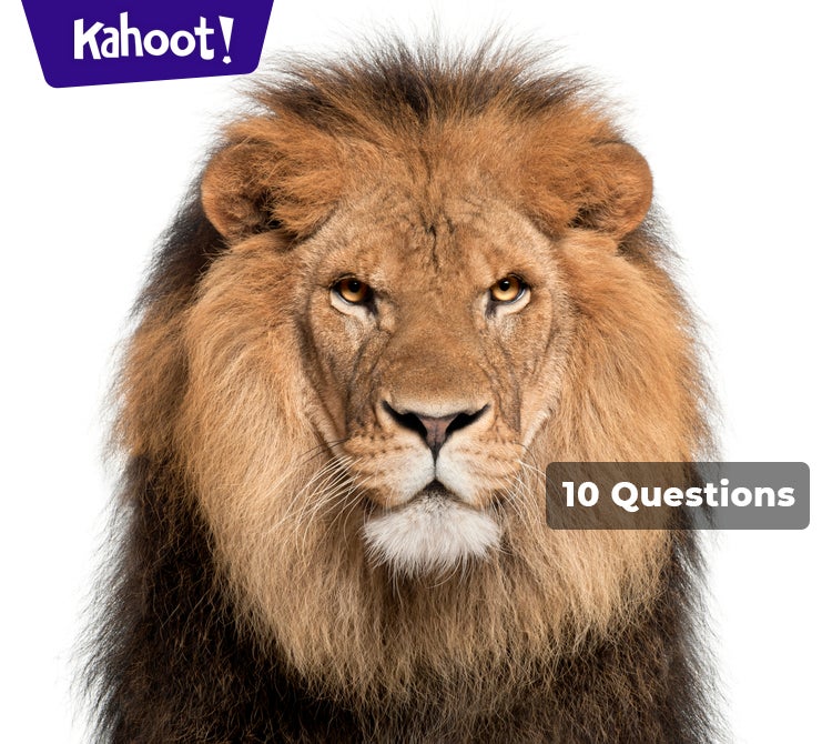 Animals - Kahoot! Quiz