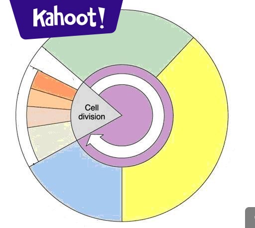 Cell Cycle - Kahoot! Quiz