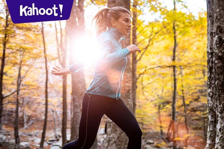 Unit 2 - 3º ESO: Final review - Kahoot! Quiz