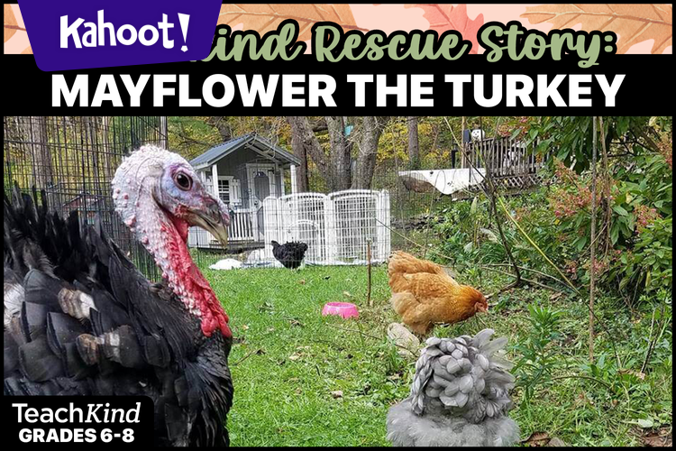 Rescue Story: Mayflower the Turkey, a Thanksgiving Story - Kahoot! Quiz