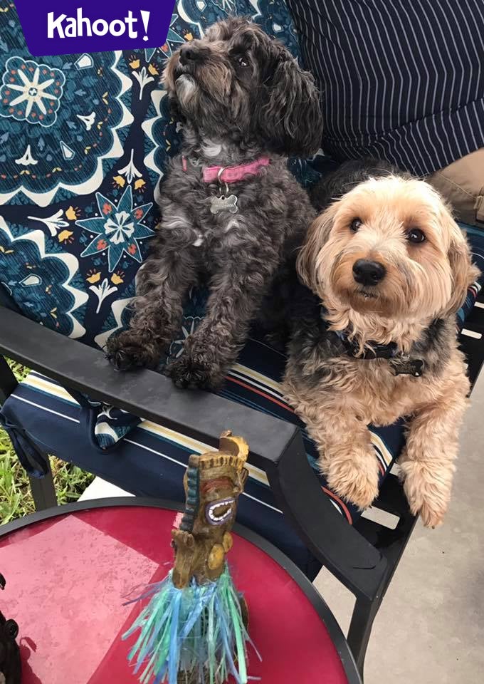 FSA 3rd Grade Reading Review - Kahoot! Quiz