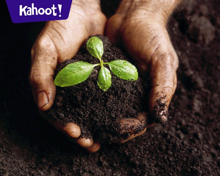 ESS Topic 5 Soil and Terrestrial Food Production - Kahoot! Quiz