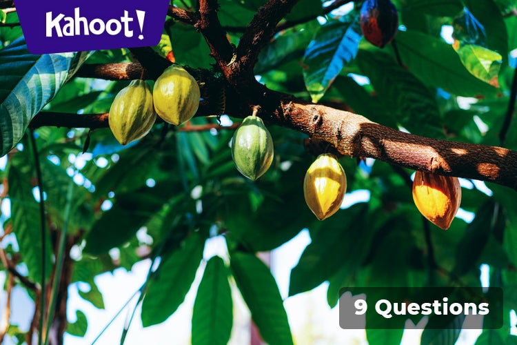 The Story of Chocolate - Kahoot! Quiz