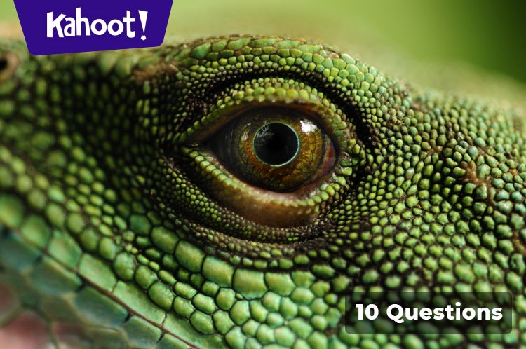 199212 Week Seven Tutorial - Kahoot! Quiz