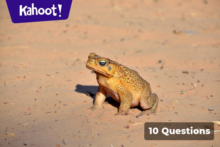 Some of Australia's Invasive Species - Kahoot! Quiz