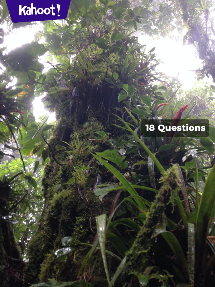 Plant Classification - Kahoot! Quiz