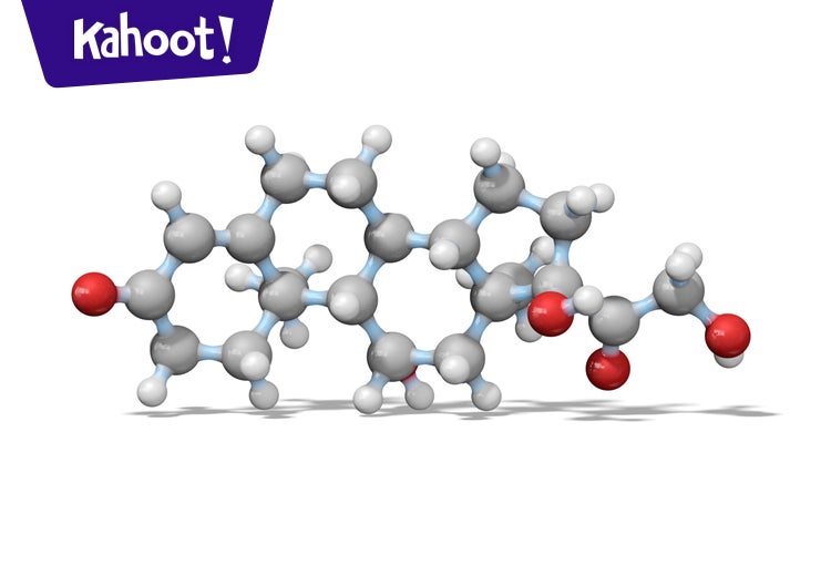 Cole Amplify Phase Change Chapter 1 Check Kahoot Quiz