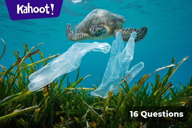 Ocean plastic pollution: what are the impacts? - Kahoot! Quiz