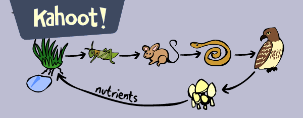 Ecology Quiz Review - Kahoot! Quiz