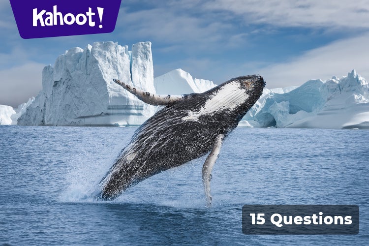 Wildlife Conservation and Environmental Awareness - Kahoot! Quiz