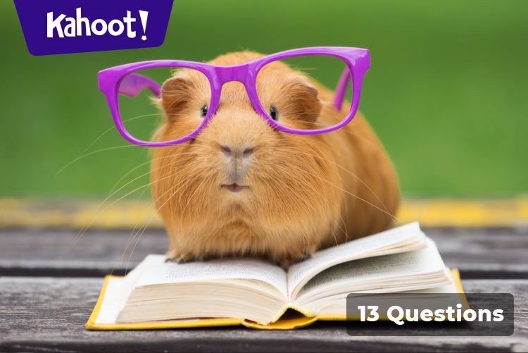 The fun animal quiz - Kahoot! Quiz