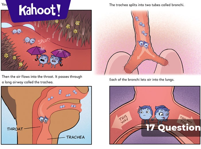 PLA - Respiratory System I - Kahoot! Quiz
