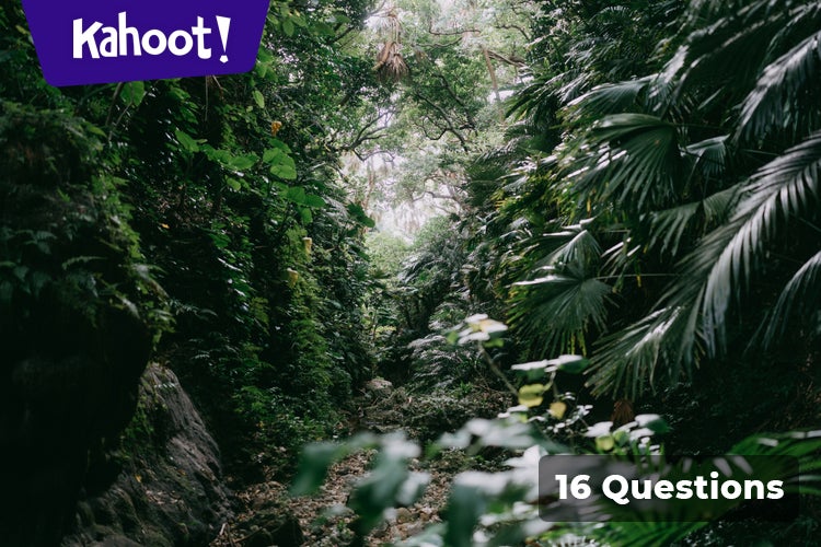 6.2. Deforestation in tropical rainforests GCSE Geography AQA - Kahoot ...