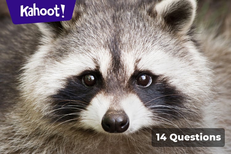 Vocabulaire de l'Unité 1A et B - Partie 2 - Kahoot! Quiz