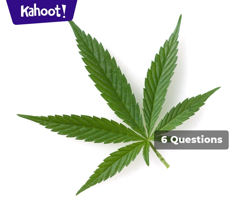 Cannabis - Kahoot! Quiz