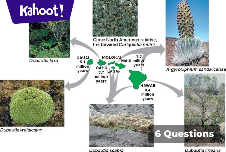 Patterns in Evolution - Kahoot! Quiz
