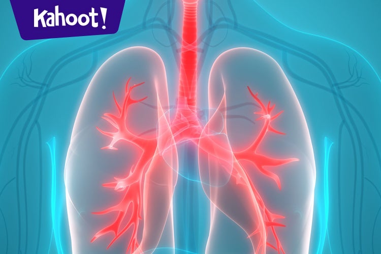 SCI09Bio: Respiratory System - Kahoot! Quiz
