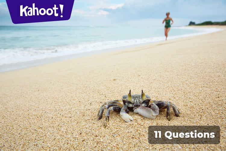 The crab that played with the sea - Kahoot! Quiz