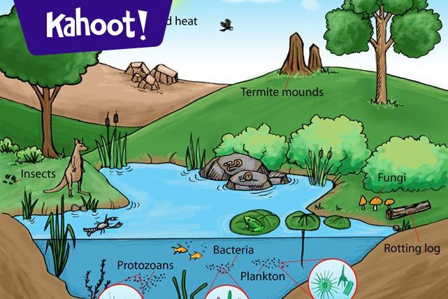 Ecology - Kahoot! Quiz