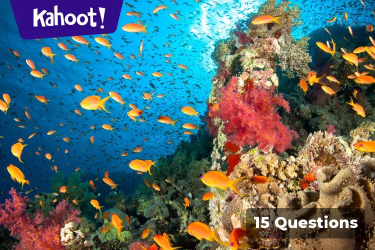 Marine Environments: Ocean Life Zones - Kahoot! Quiz