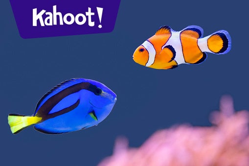 Why "Finding Dory" For Your Aquarium May Not Be A Good Idea - Kahoot! Quiz