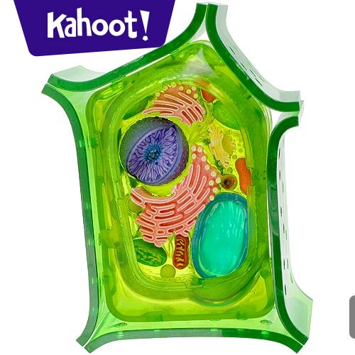 Cell : Structure and Function I Class 8 I 19-08-22 - Kahoot! Quiz