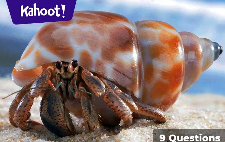 Ocean Biome Kahoot - Kahoot! Quiz