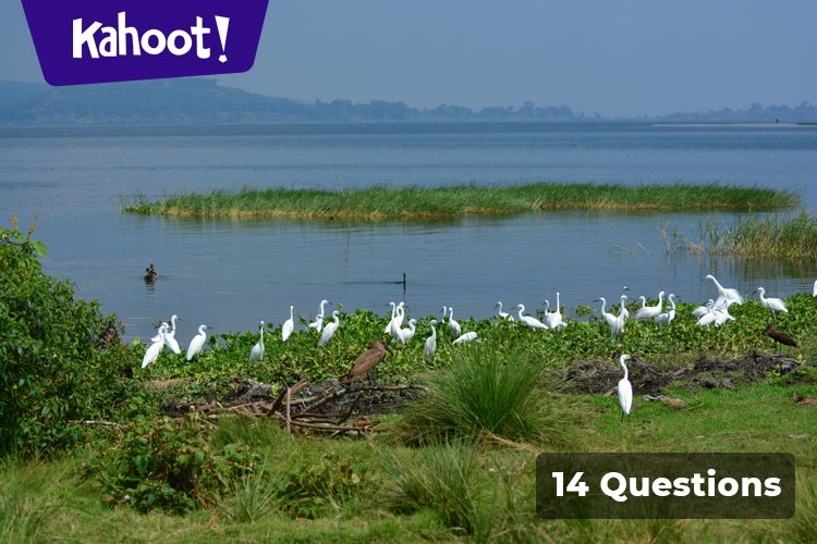 Environmental Issues in Africa - Kahoot! Quiz