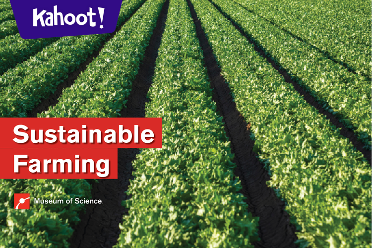 Sustainable Farming - Kahoot! Quiz