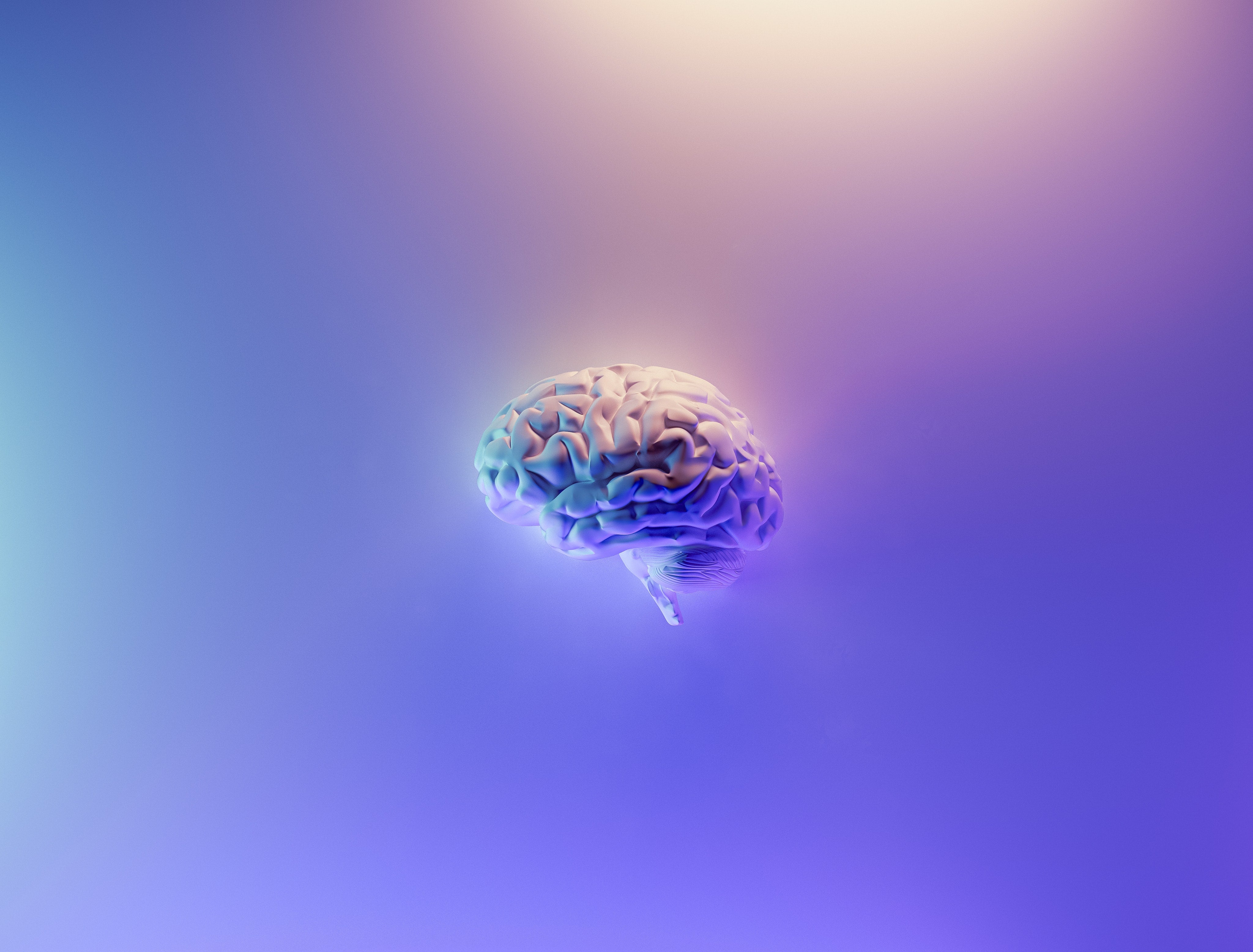 Human Brain 🧠 Part 1 - Kahoot! Quiz