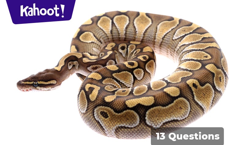 Python - Kahoot! Quiz